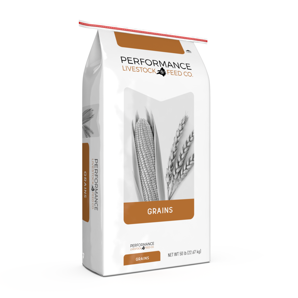 Cattle – Performance Livestock and Feed Co.