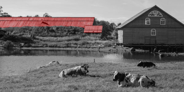 Who We Are – Performance Livestock and Feed Co.